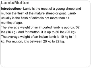 About lamb and mutton | PPTX