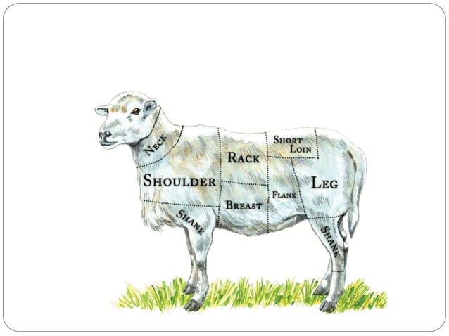 About lamb and mutton | PPTX