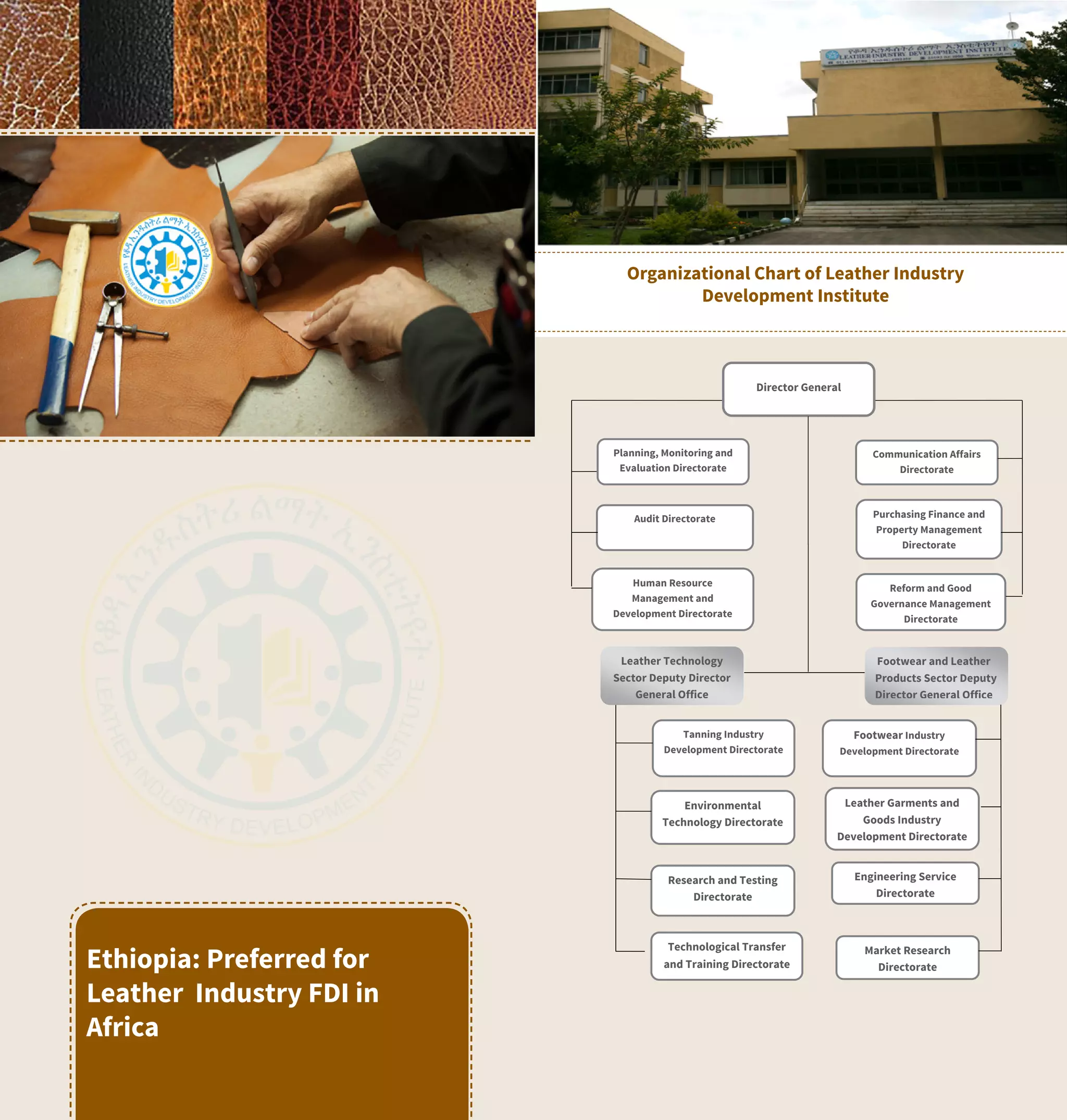 About LIDI revised in English language | PDF