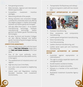 About LIDI revised in English language | PDF