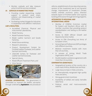 About LIDI revised in English language | PDF