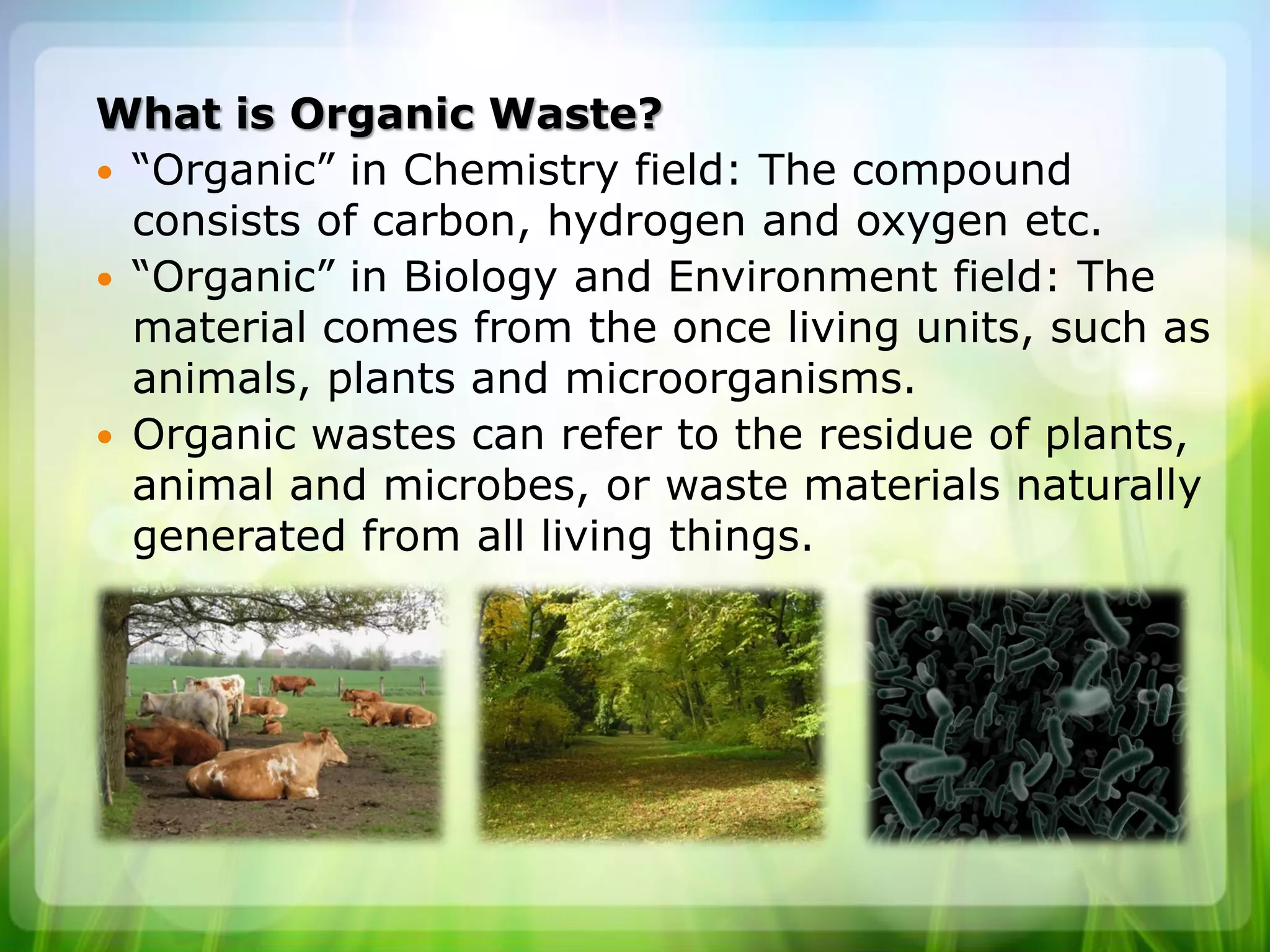 About organic waste | PDF