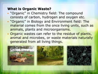 About organic waste | PDF