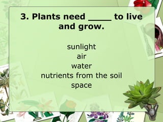 About plants | PPT