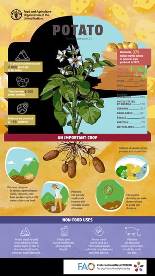 About Potato, The scientific name of the plant is Solanum tuberosum (L ...
