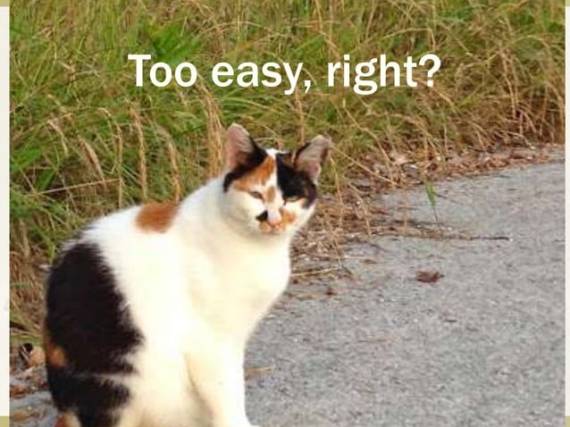 Regarding Data Persistence during the prototype development | PPTX | Web Development | Internet