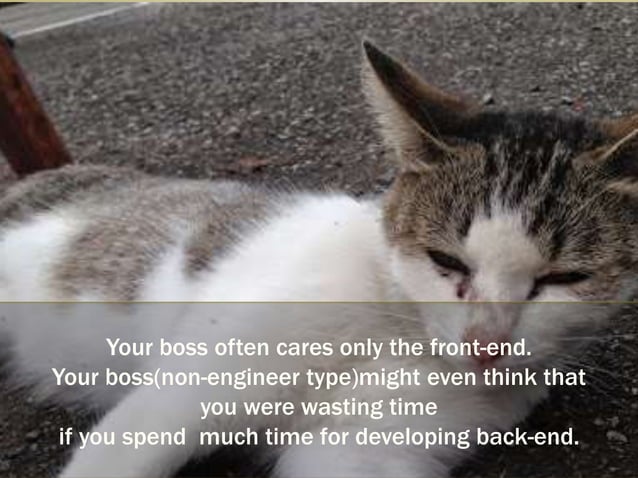 Regarding Data Persistence during the prototype development | PPTX | Web Development | Internet