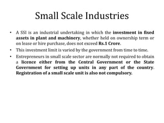 Small Scale Enterprises | PPTX