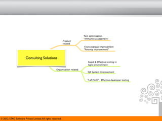 STAG Software - Presentation | PDF