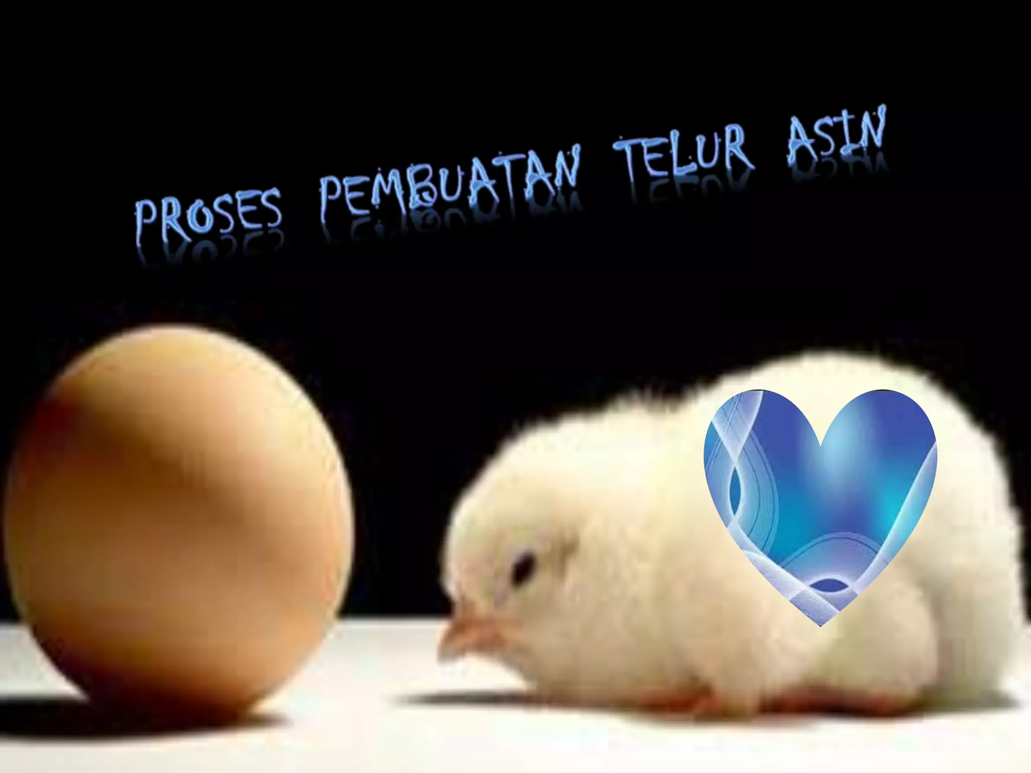 TELUR ASIN :) | PPTX