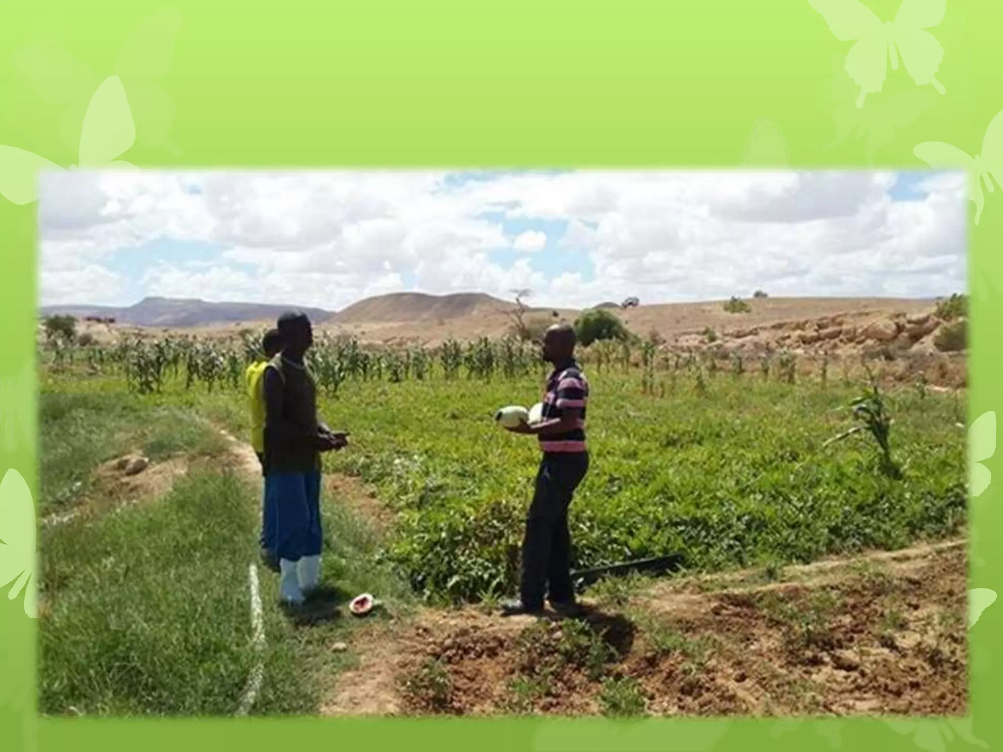 About tga super soil | PPT