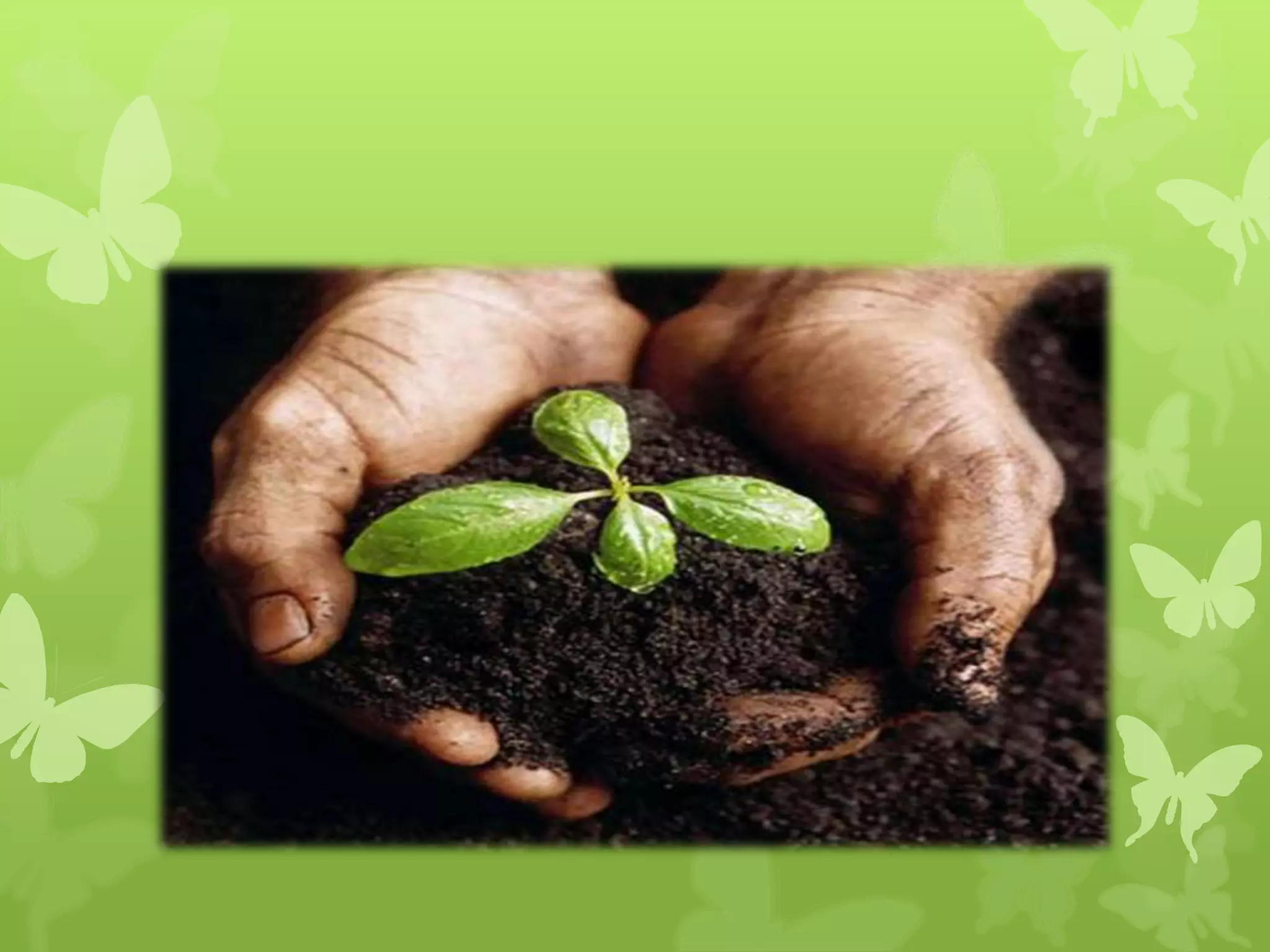 About tga super soil | PPT