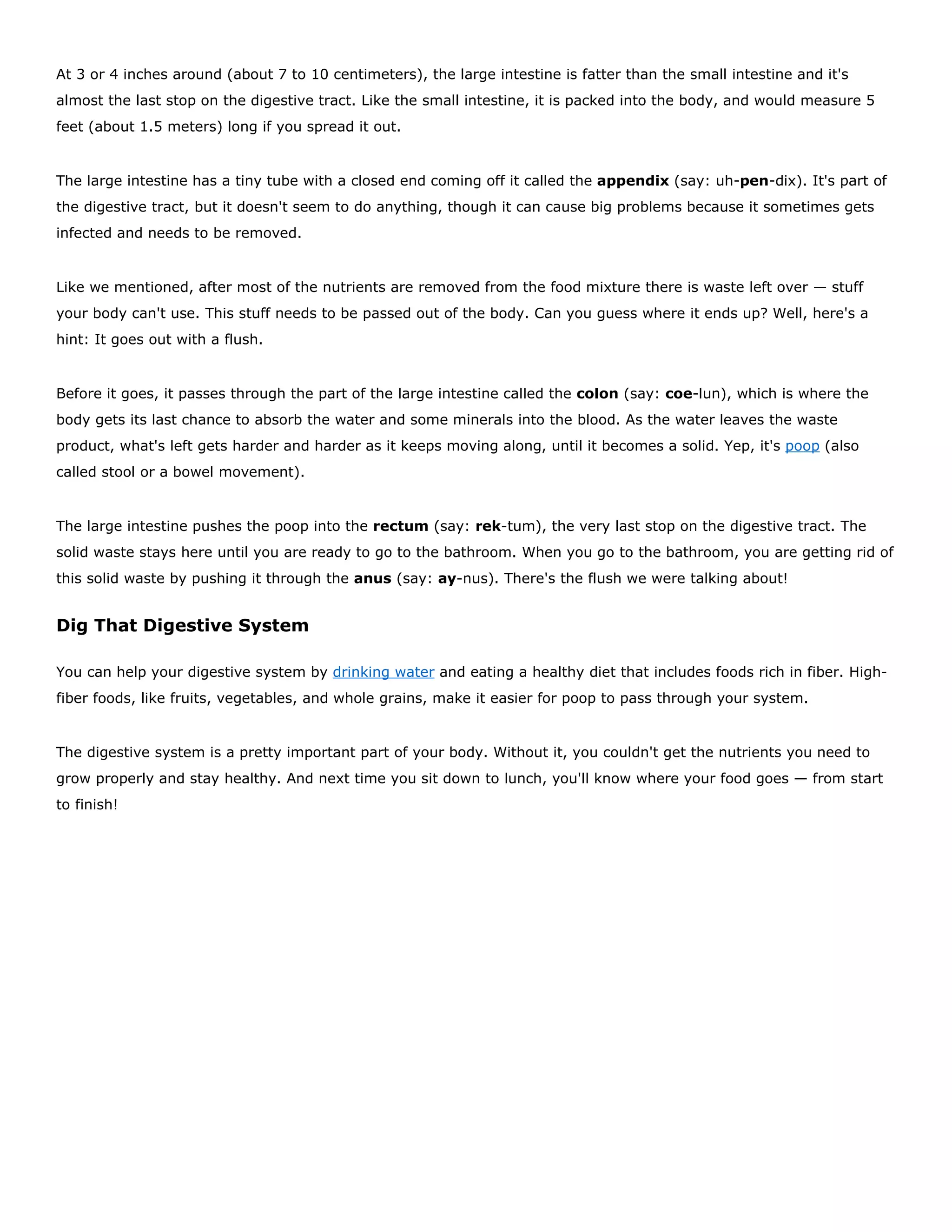 The Digestive System | DOC