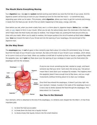 The Digestive System | DOC | Nutrition | Healthy Living