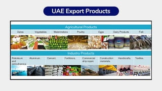 United Arab Emirates: About the economy of one highly developed country ...