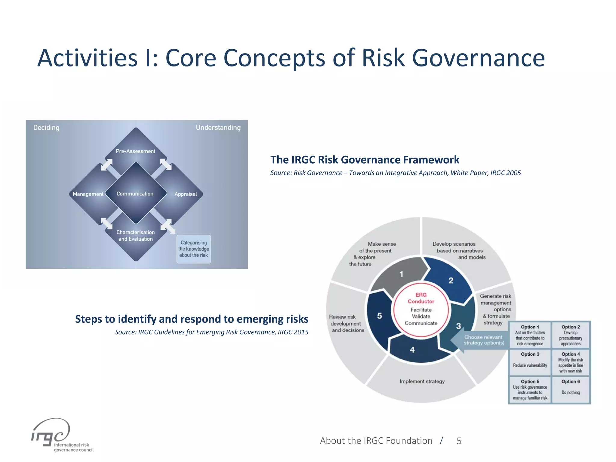 About the IRGC Foundation | PDF