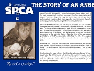 About the ns spca corporate | PPTX