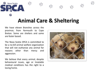About the ns spca corporate | PPTX