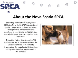 About the ns spca corporate | PPTX