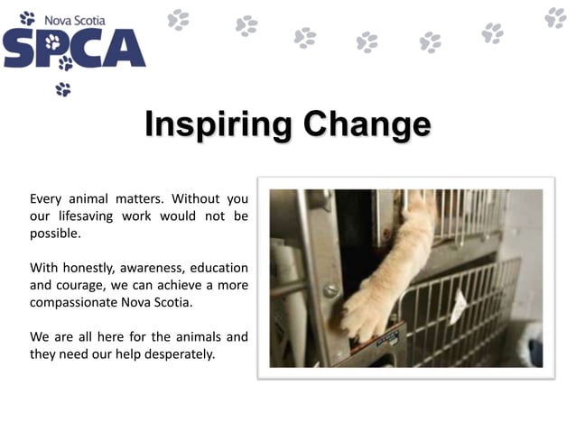 About the ns spca corporate | PPTX