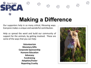 About the ns spca corporate | PPTX