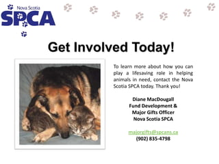 About the ns spca corporate | PPTX