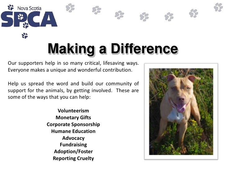 About the ns spca corporate