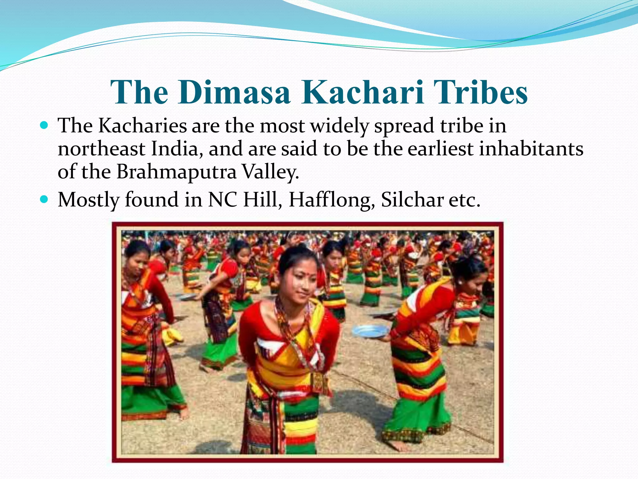 Bodo Tribe of Assam | PPTX