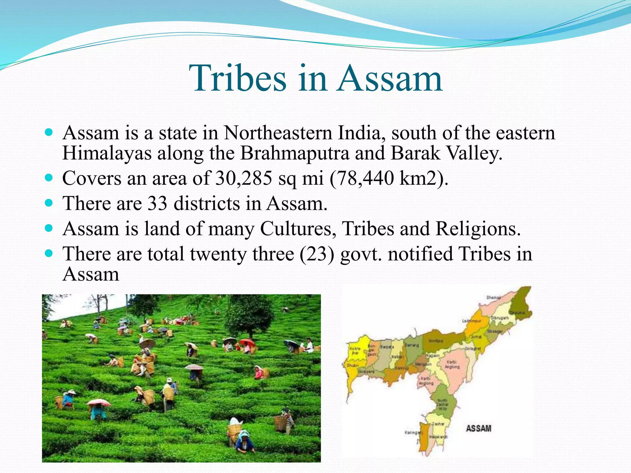 Bodo Tribe of Assam | PPTX
