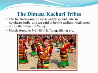 Bodo Tribe of Assam | PPTX