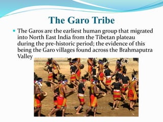 Bodo Tribe of Assam | PPTX