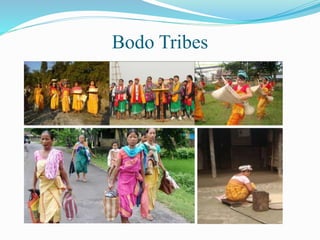 Bodo Tribe of Assam | PPTX