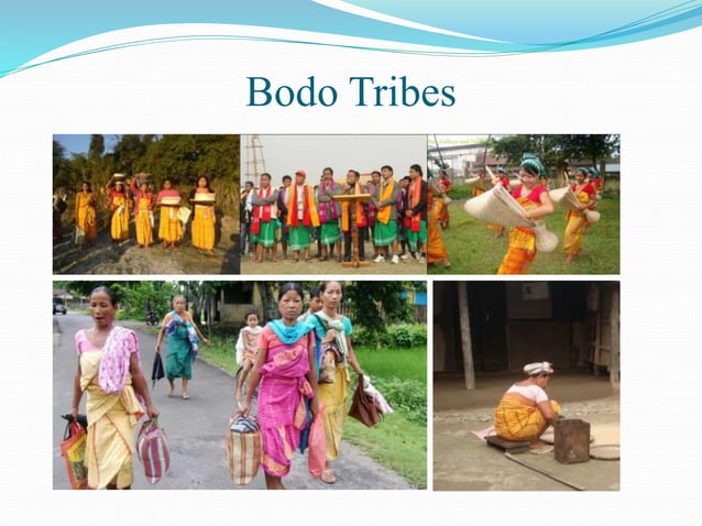 Bodo Tribe of Assam | PPTX
