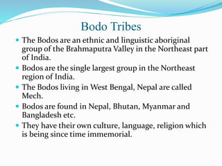 Bodo Tribe of Assam | PPTX