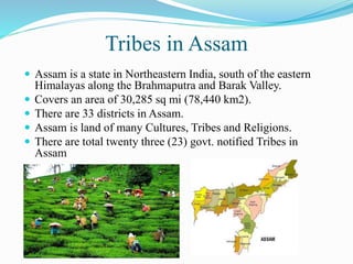 Bodo Tribe of Assam | PPTX
