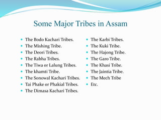 Bodo Tribe of Assam | PPTX
