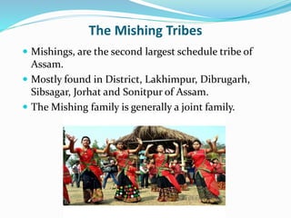 Bodo Tribe of Assam | PPTX