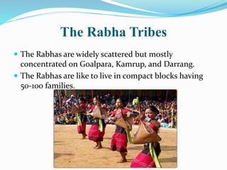 Bodo Tribe of Assam | PPTX