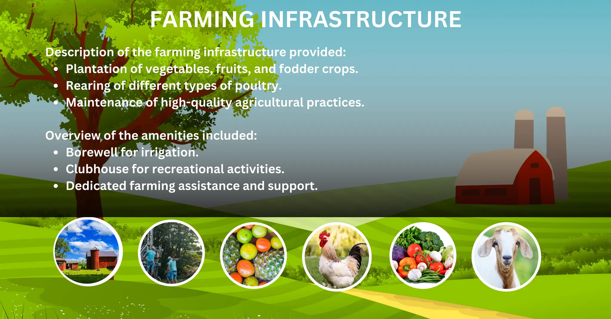 Managed farmland Brochure Agriculture ld | PDF