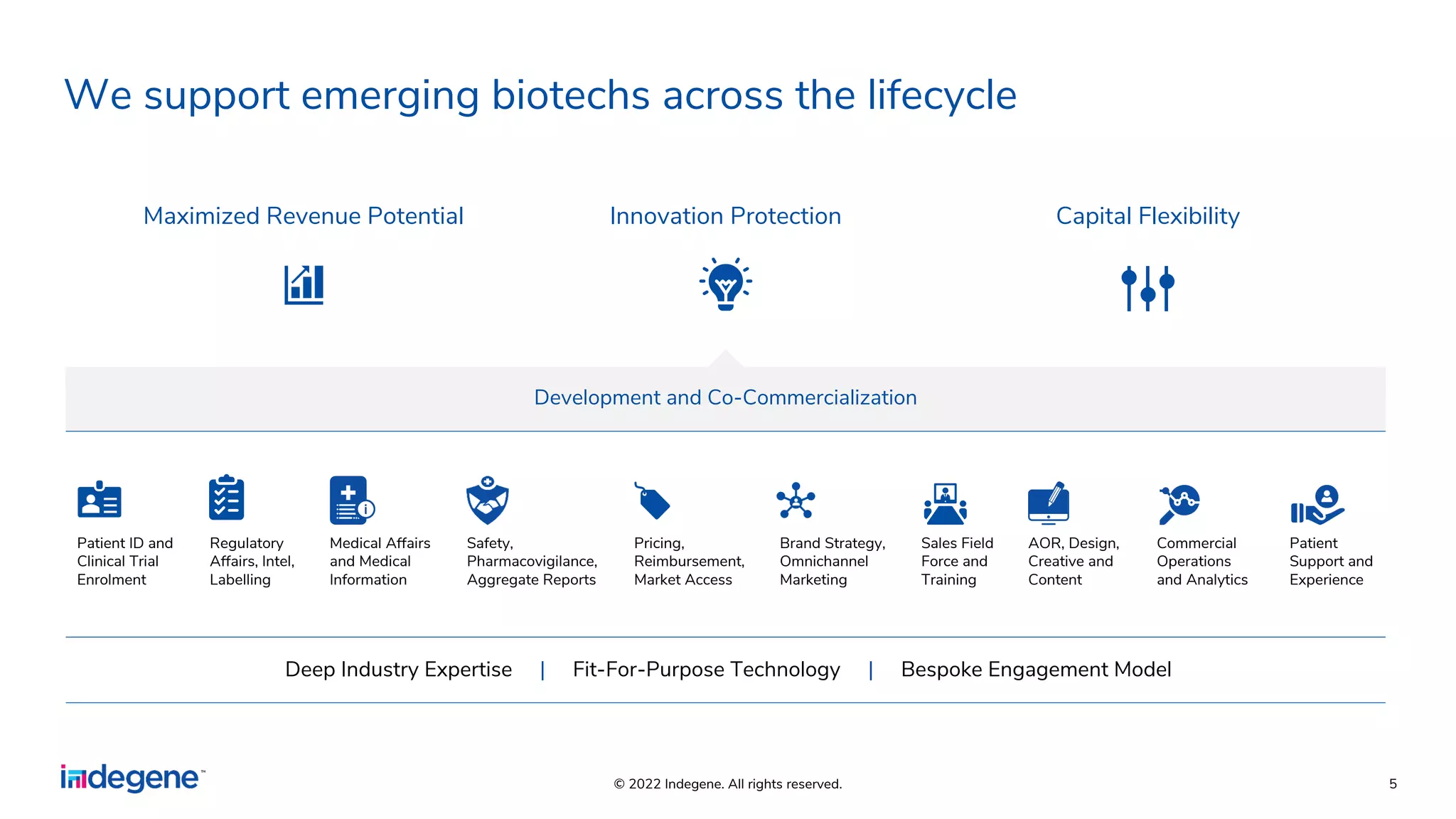 About Indegene | PDF
