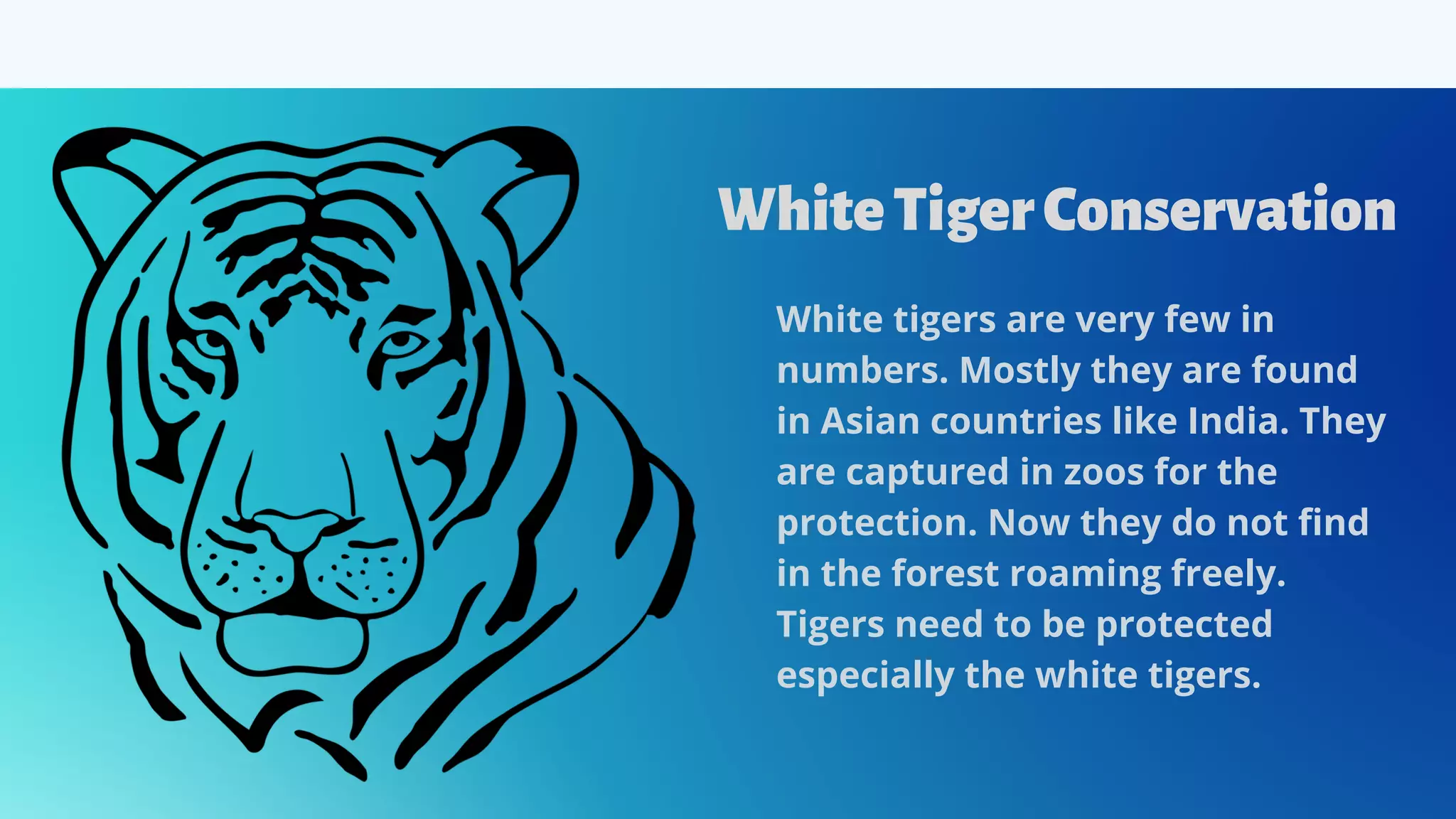 About white tiger | PPT