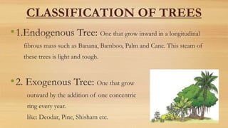 WOOD AND SEASONING OF WOOD | PPTX