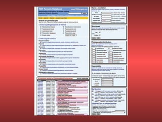 Abp Final Slides | PPT