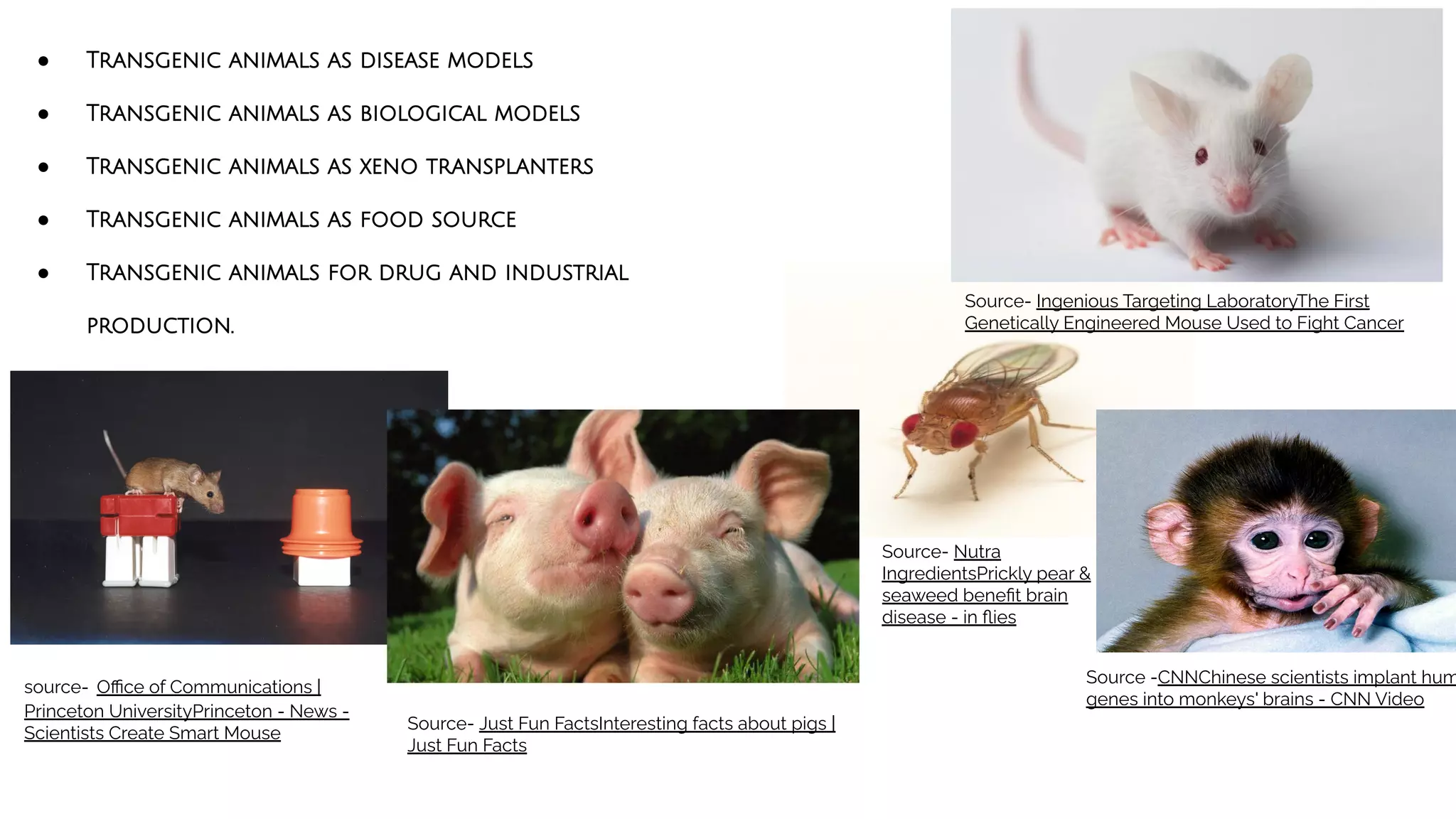 Transgenic and genome edited animals | PDF | Genetics | Science
