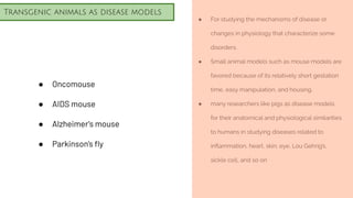 Transgenic and genome edited animals | PDF | Genetics | Science