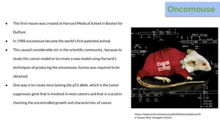 Transgenic and genome edited animals | PDF | Genetics | Science