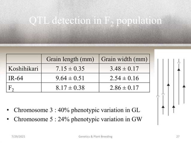 AB QTL's | PPT