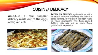 ABRA-1.pptx Cordillera heritage in college degree | PPTX