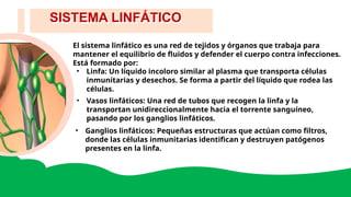 Diapositiva sobre el sistema linfático.pptx
