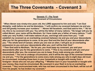 Abrahamic covenants 2010 | PPT